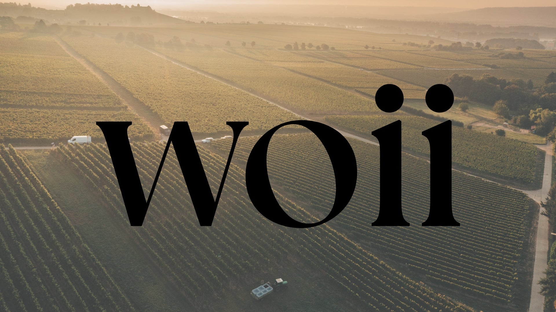 Weingut woii – woii GmbH & Co. KG