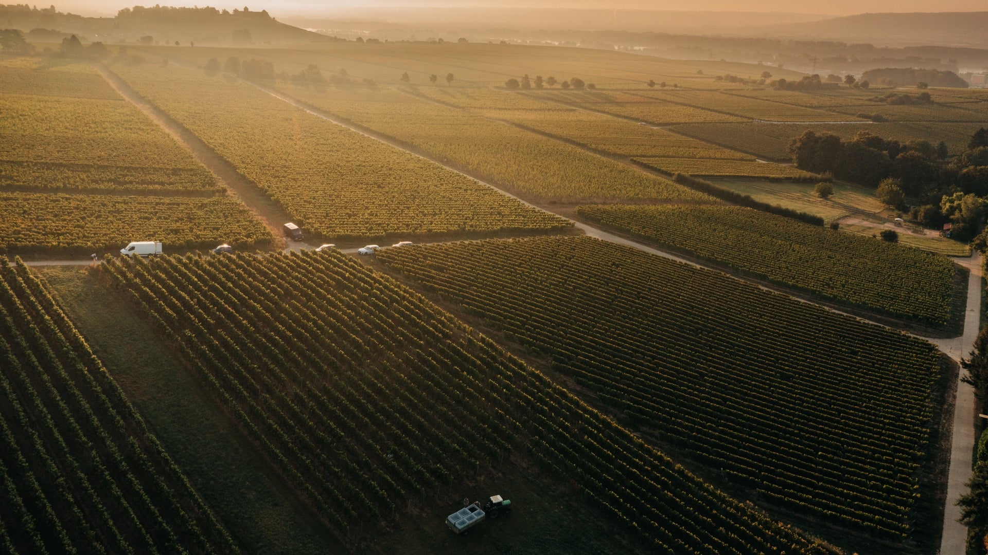Weingut woii – woii GmbH & Co. KG